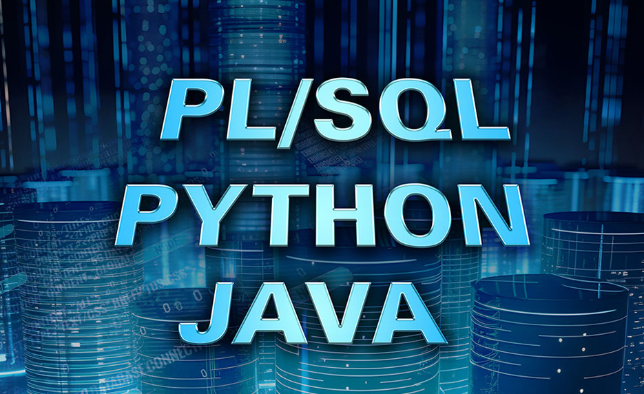 Online Oracle Sql And Plsql Python Developer Java Developer From Austin Peay State University